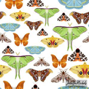 Portfolio - Jennifer Nichols Art